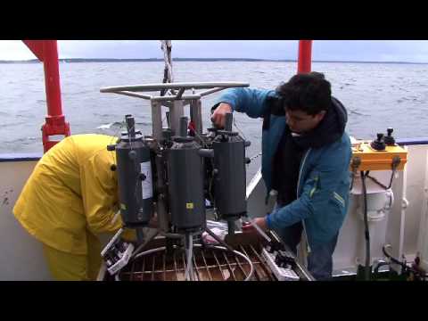 Ocean Sampling Day 2014 at Boknis Eck - YouTube
