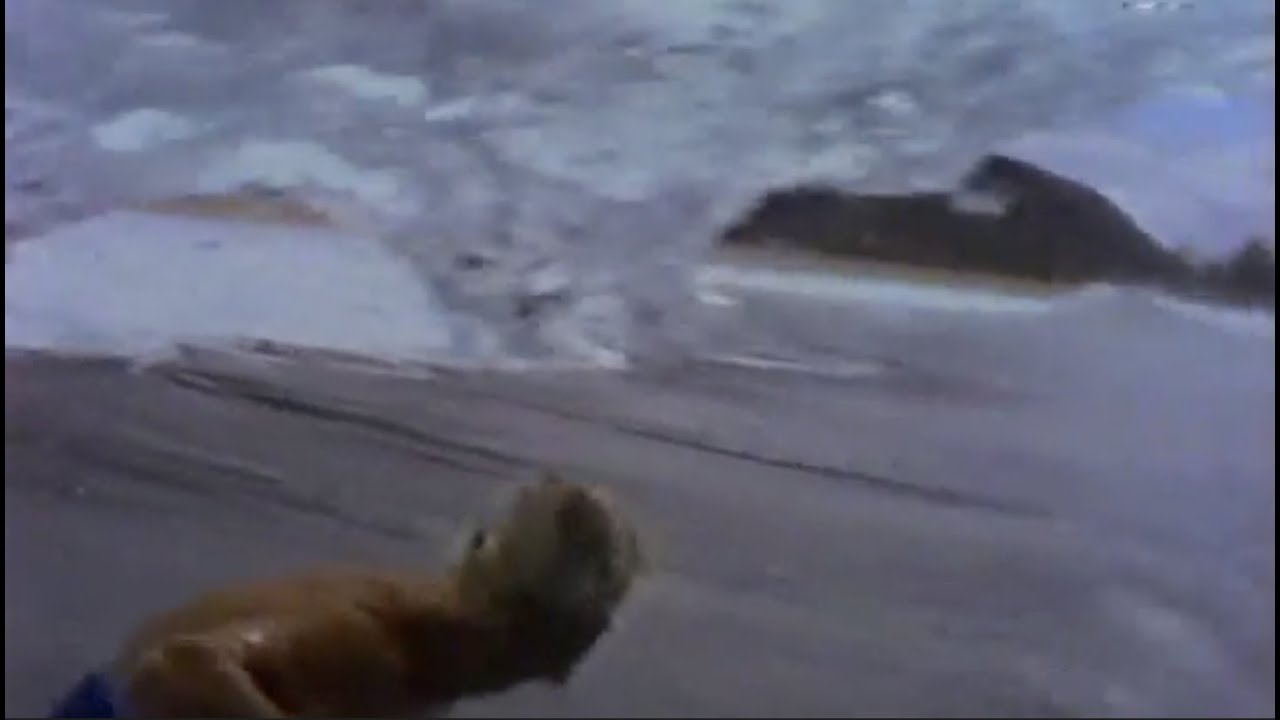 Cheyne Horan Sunkist Commercial (c. 1983) - One of the best TV ...