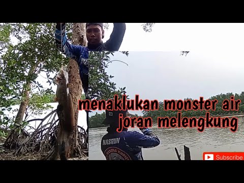 mancing ambyar (episod terbaru) sekali coba langsung dapat babon