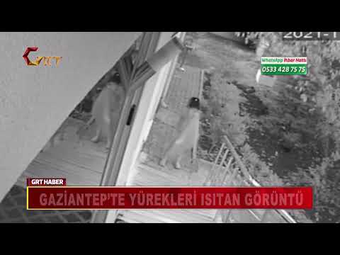 KÜÇÜK KIZIN BAYRAK SEVGİSİ