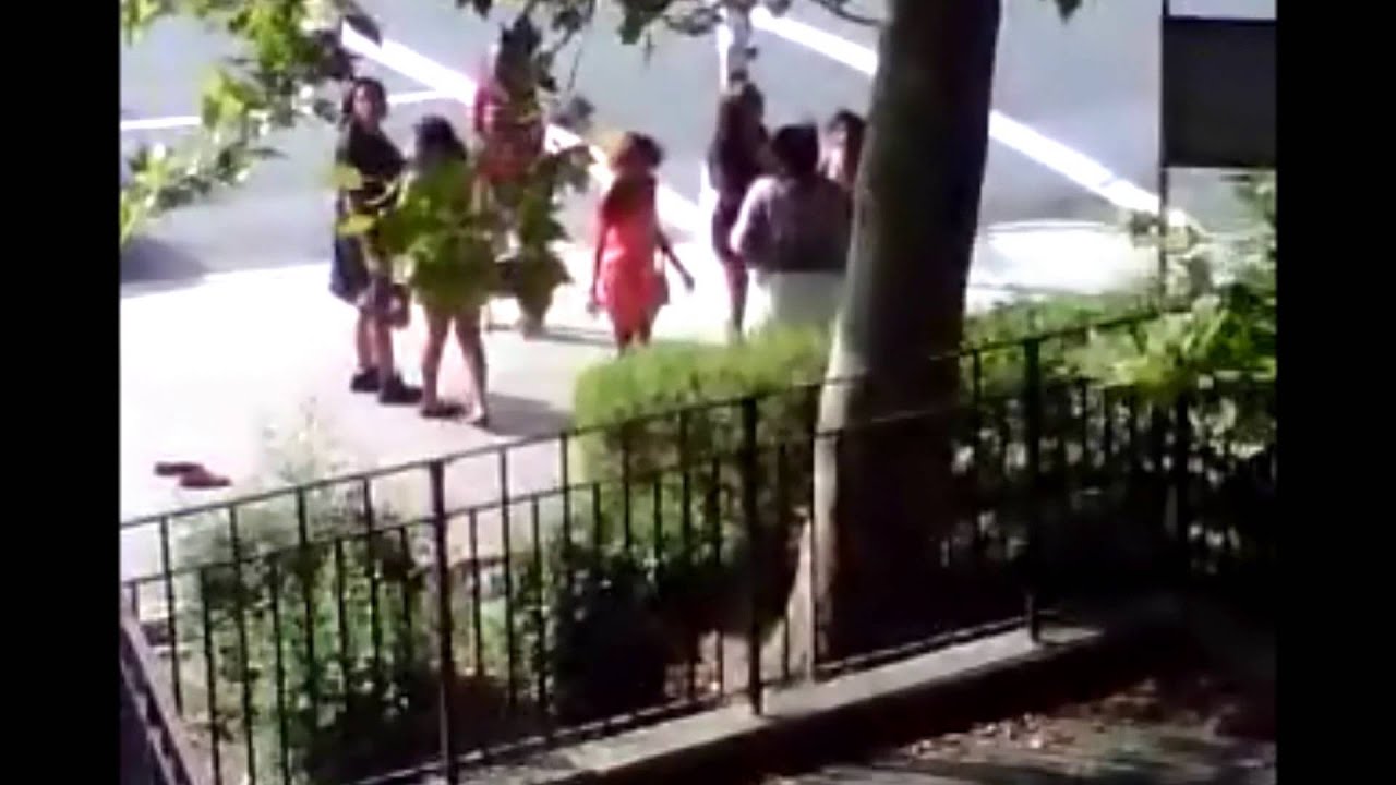 Girls Fighting at the Bronx - YouTube