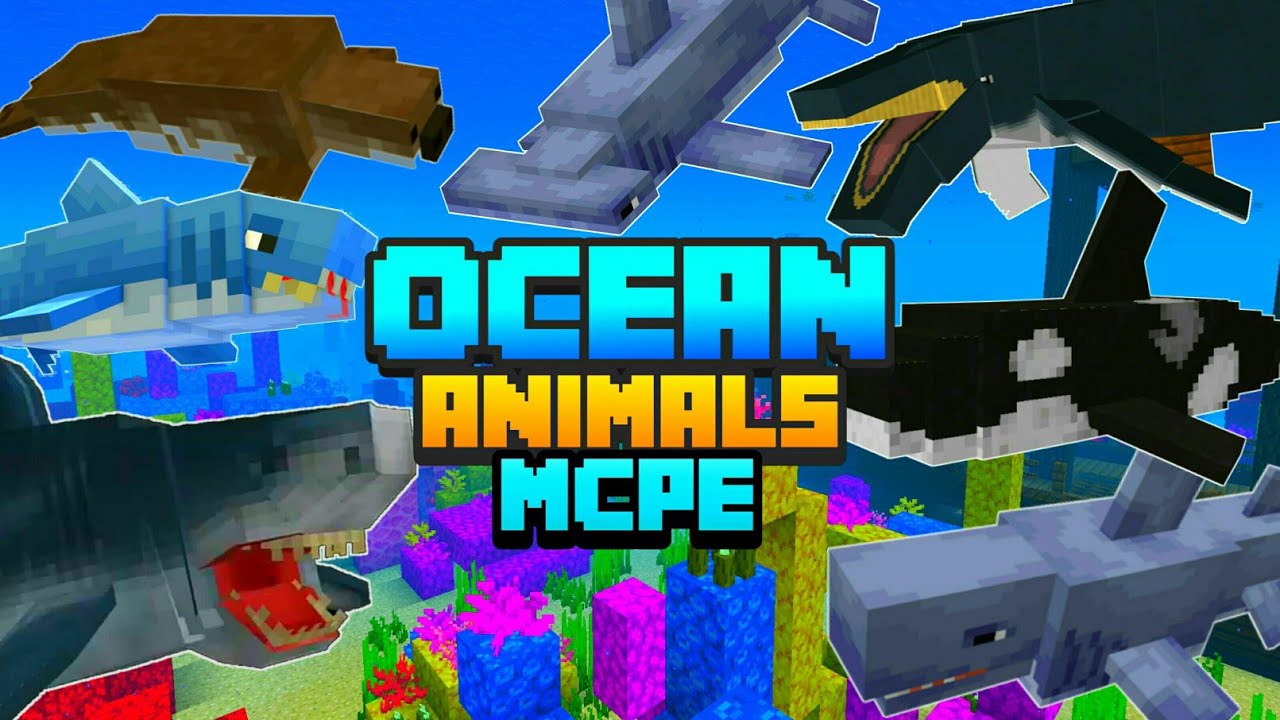 Ocean Animals addon for Minecraft pe 1.19+ - YouTube