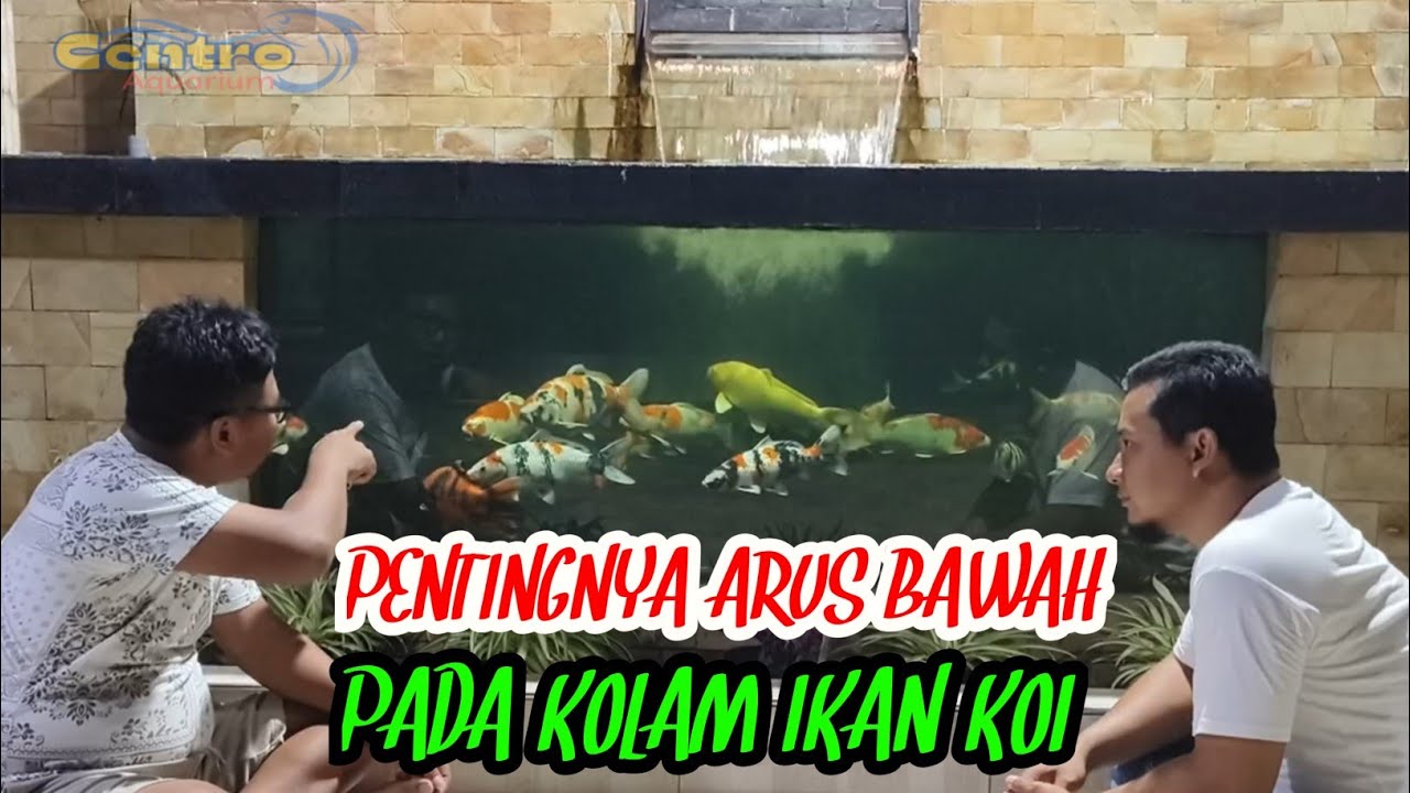 💥PENTINGNYA ARUS BAWAH PADA KOLAM IKAN KOI - YouTube