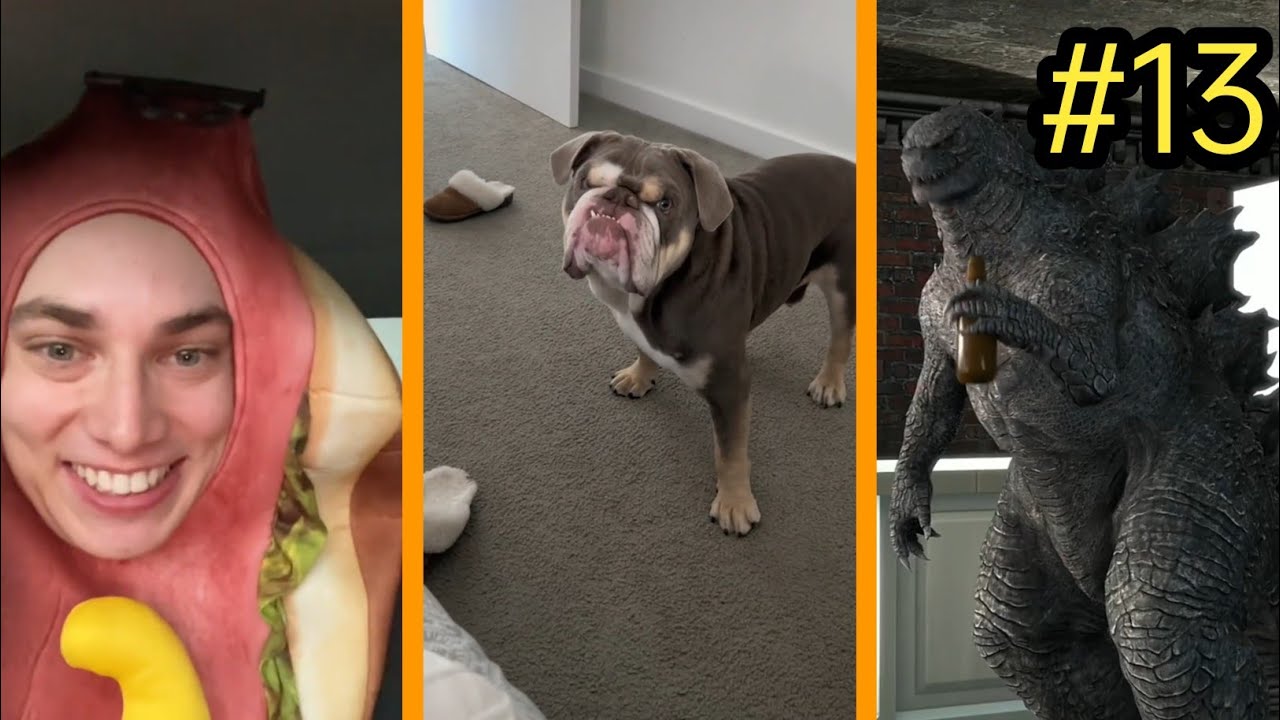 Anti-Depressant | FUNNY VIDEO COMPILATION #13 | Giggle Fart - YouTube