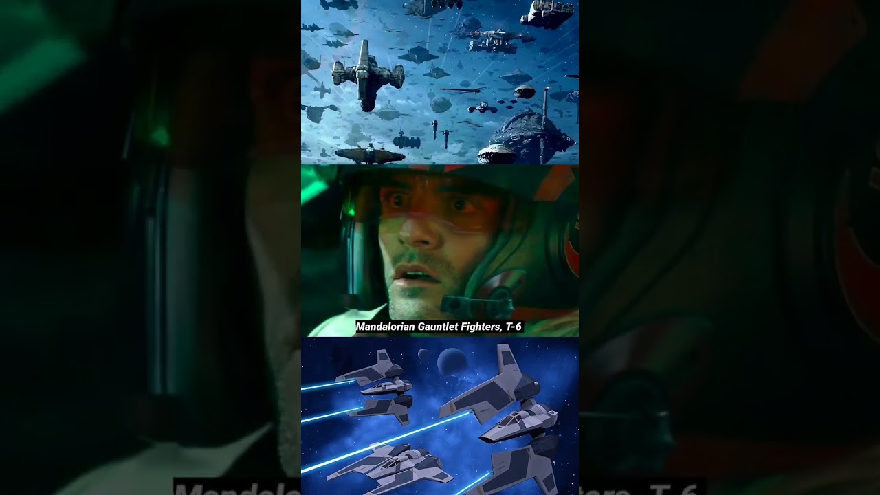 How many Ships flew at the Battle of Exegol in the Rise of Skywalker? # ...