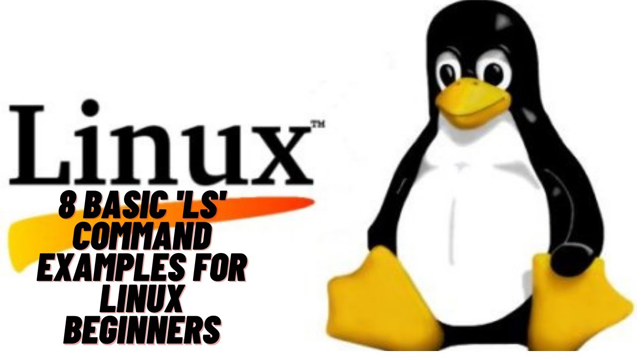 8 Basic 'ls' Command Examples for Linux Beginners - YouTube