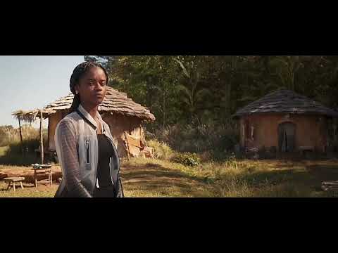 Ever wondered how Bucky landed in Wakanda, I'm sure you all missed this ...