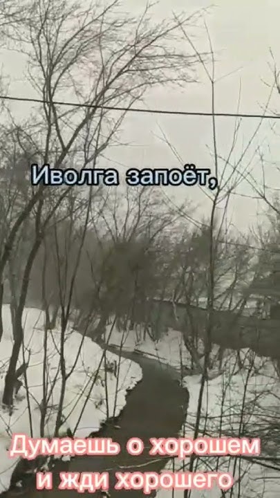 за черной полосой всегда наступает белая, за зимой-весна. - YouTube