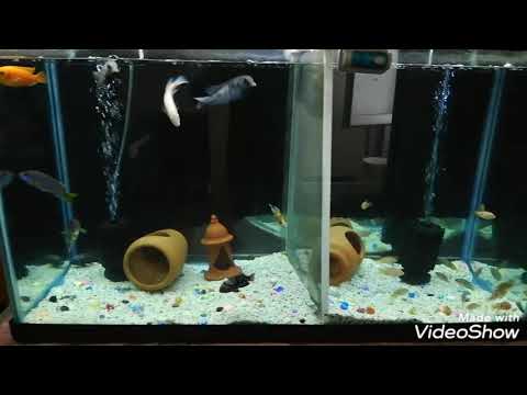 RAHATLATICI VİDEOLOR