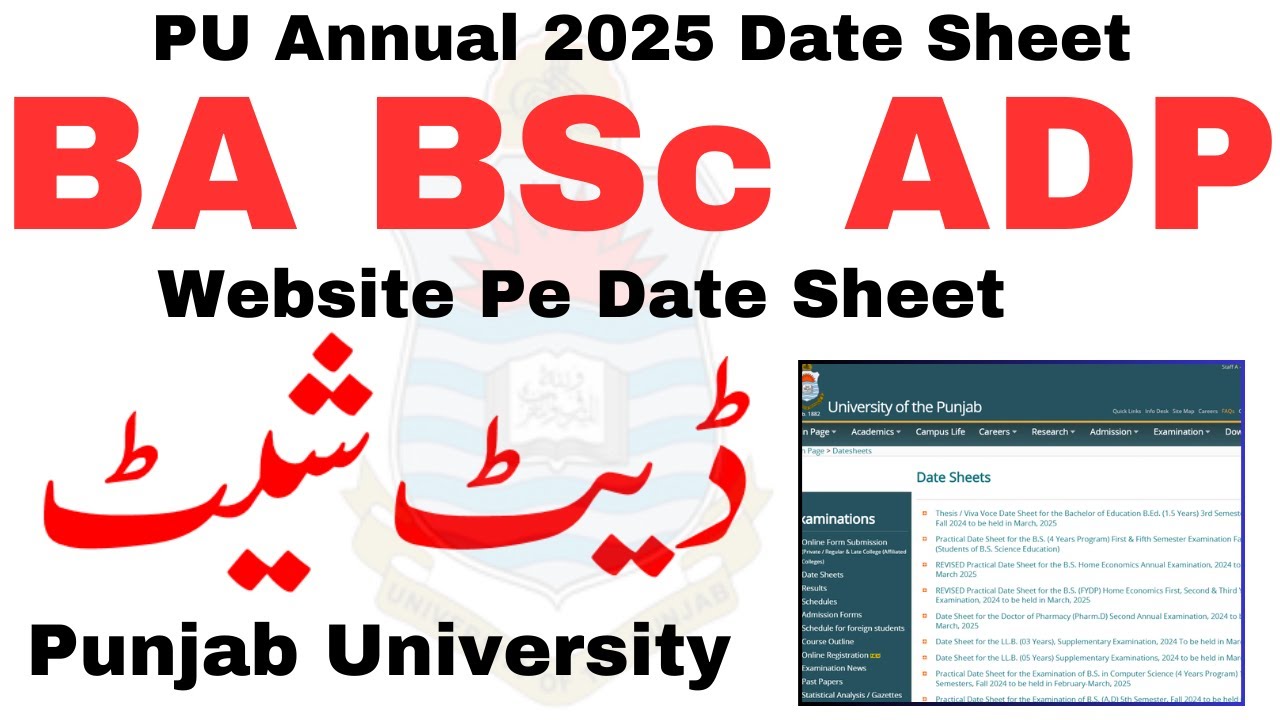 BA BSc ADP Annual 2025 Date Sheet PU | ADA ADS Exams 2025 PU | BA BSc ...