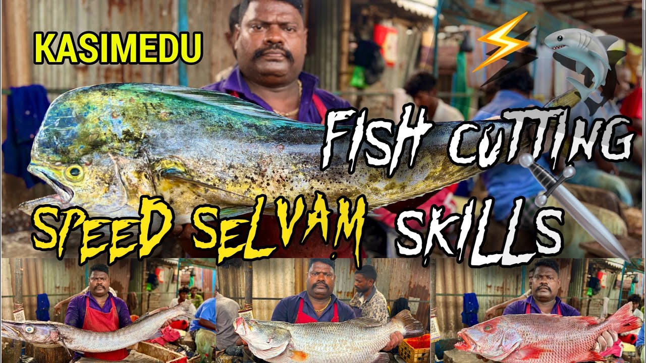 KASIMEDU🔥SPEED SELVAM ALL VARIETY FISHCUTTING CLIPS‼️🔃 - YouTube