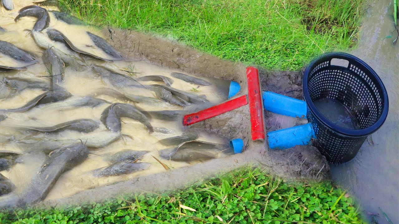 Excellent Trap Fishing - Top 7 Fish Trap System Using Strange Equipment ...