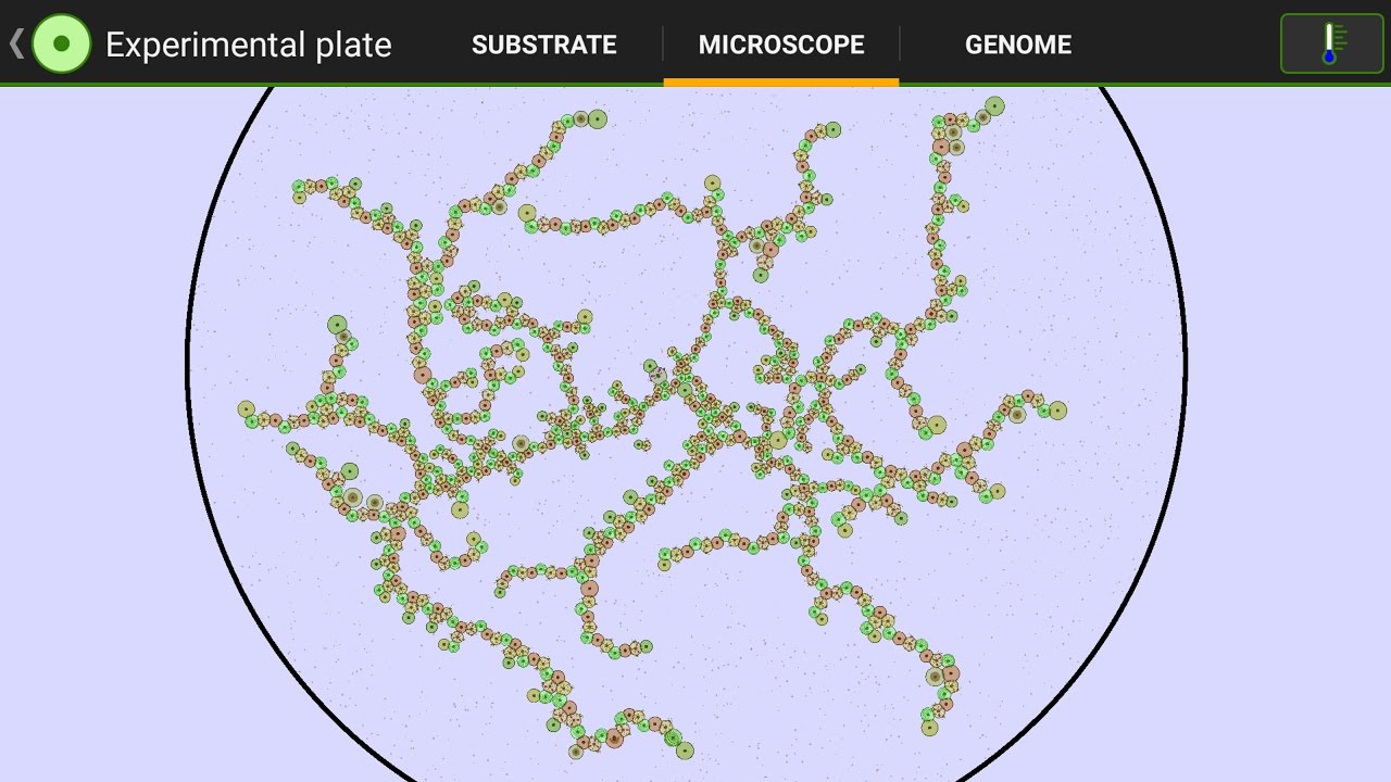 Cell Lab: Creep - Branching Smart Worm (or Slime Mold) - by Alast - YouTube