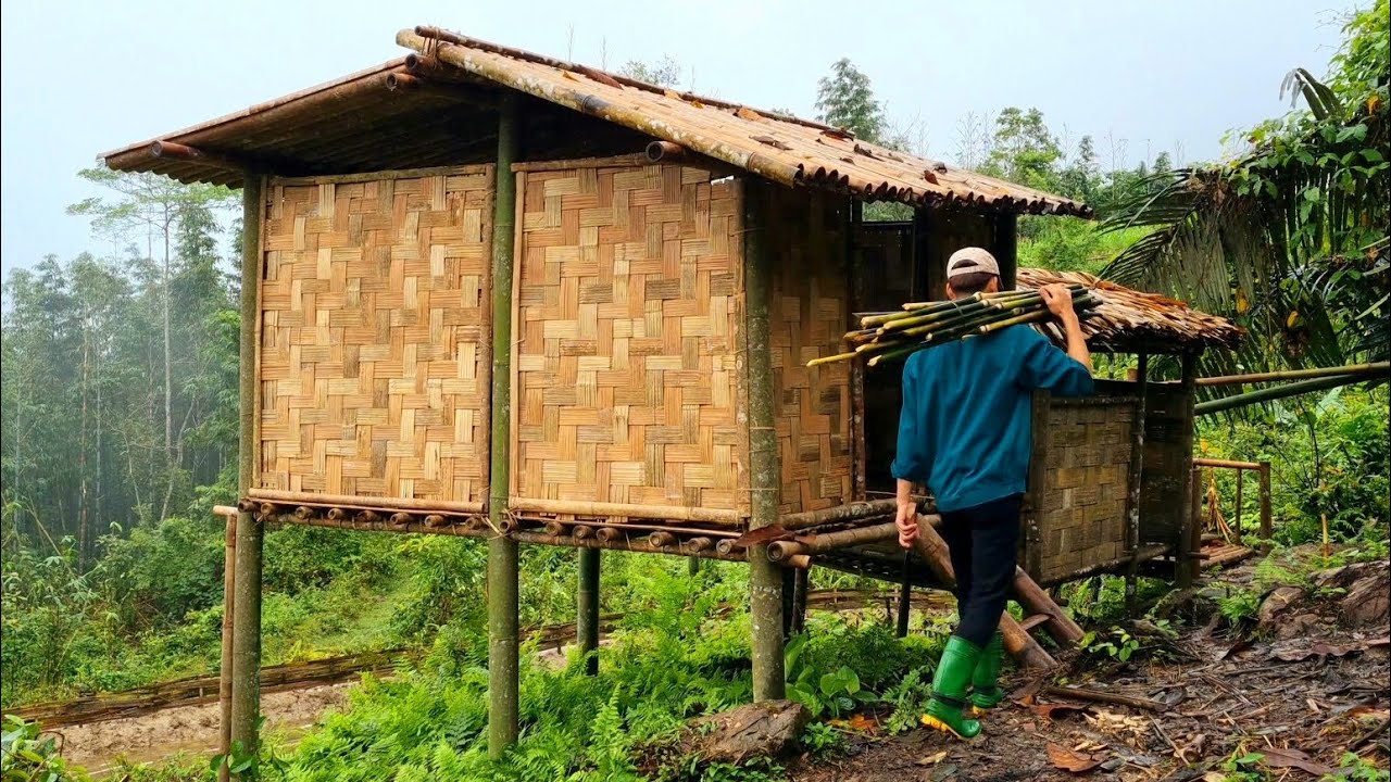 How to reclaim, building a new life, live alone - ep.16 | forest life ...