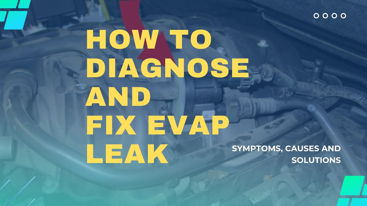 How To Find A Evap Leak Updates To Private Media #899