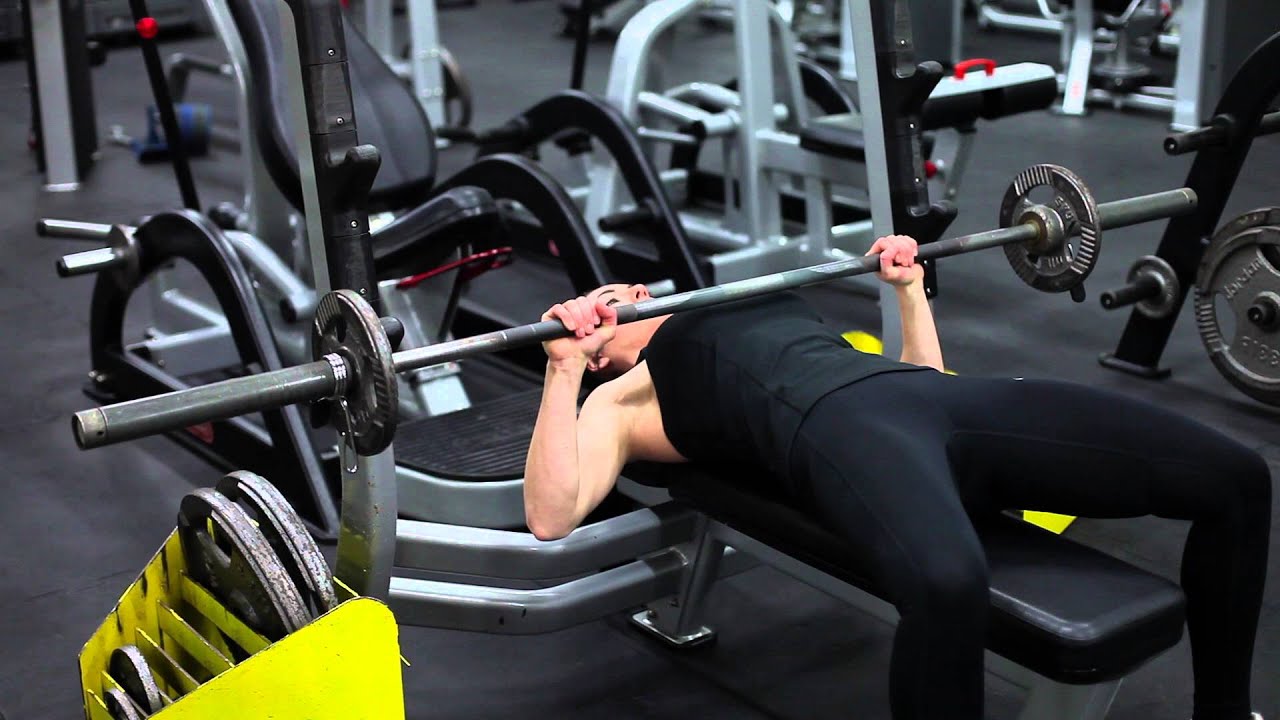 My PT Hub Exercise Library - Barbell Bench Press - YouTube