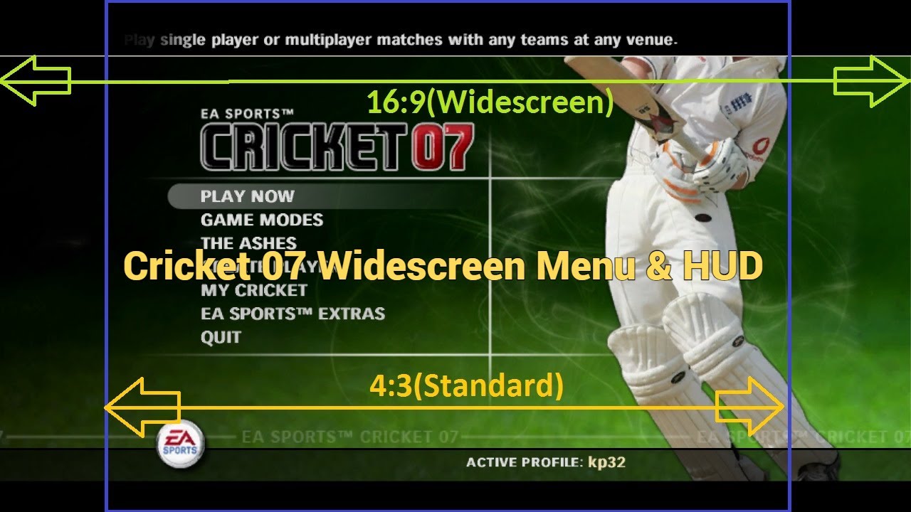Cricket 07 Widescreen Menu and HUD for PC | Cricket 07 Widescreen Fix ...