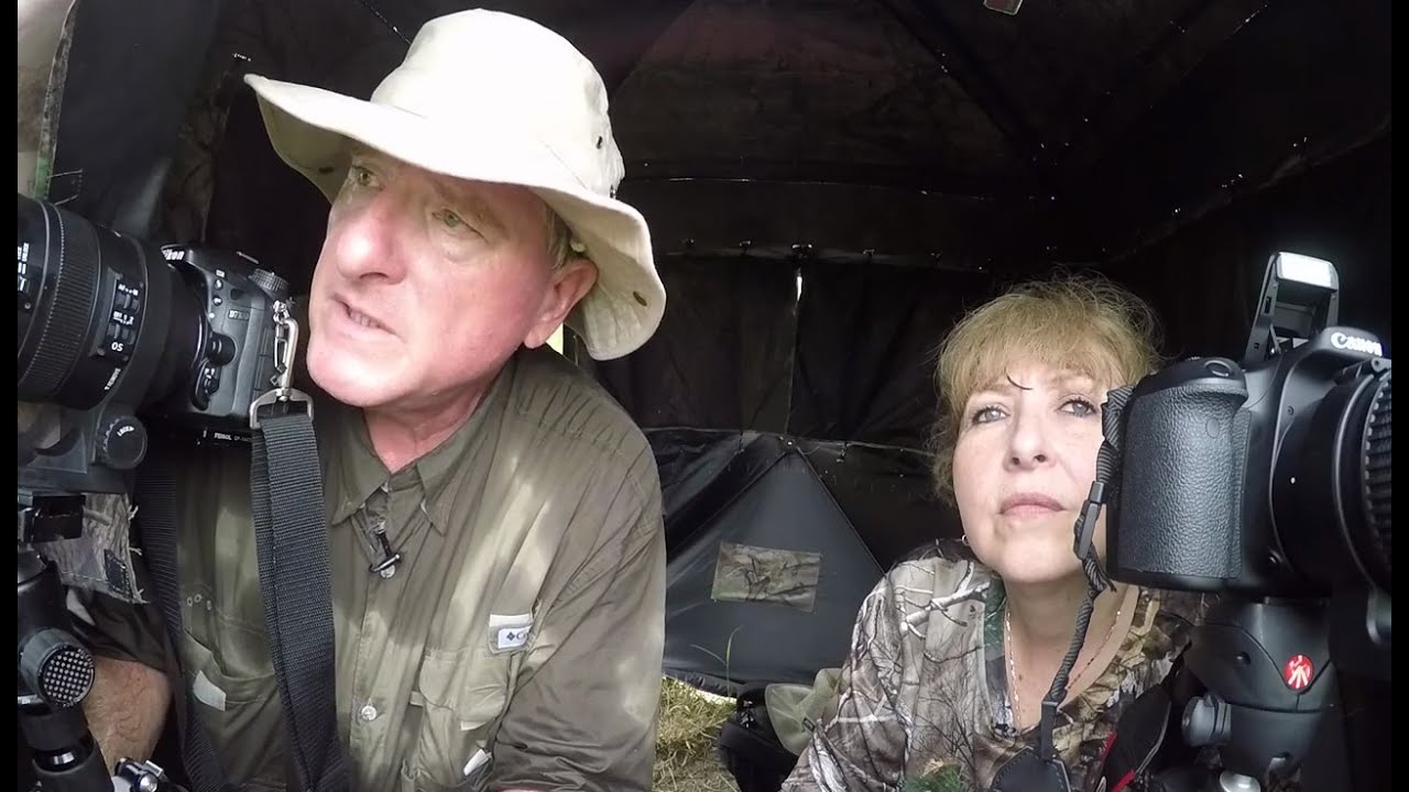 Back Road Reporter (Wildlife Photography) - YouTube