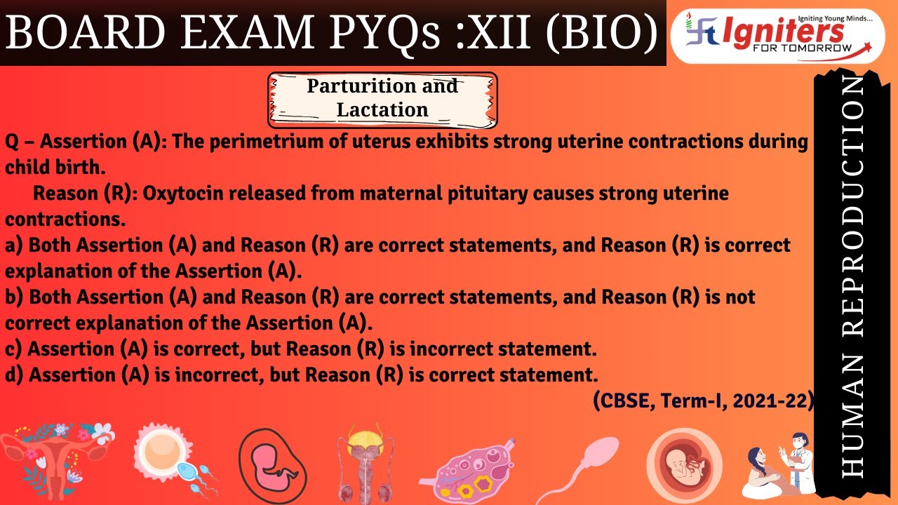 Assertion (A): The perimetrium of uterus exhibits strong uterine ...