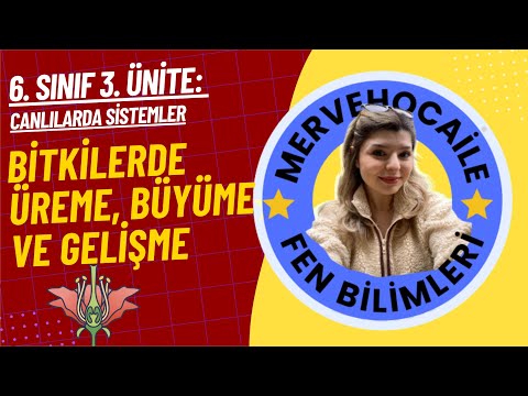 6. SINIF BİTKİLERDE ÜREME, BÜYÜME VE GELİŞME+ÇİMLENME- CANLILARDA SİSTEMLER (3. ÜNİTE) KONU ANLATIMI