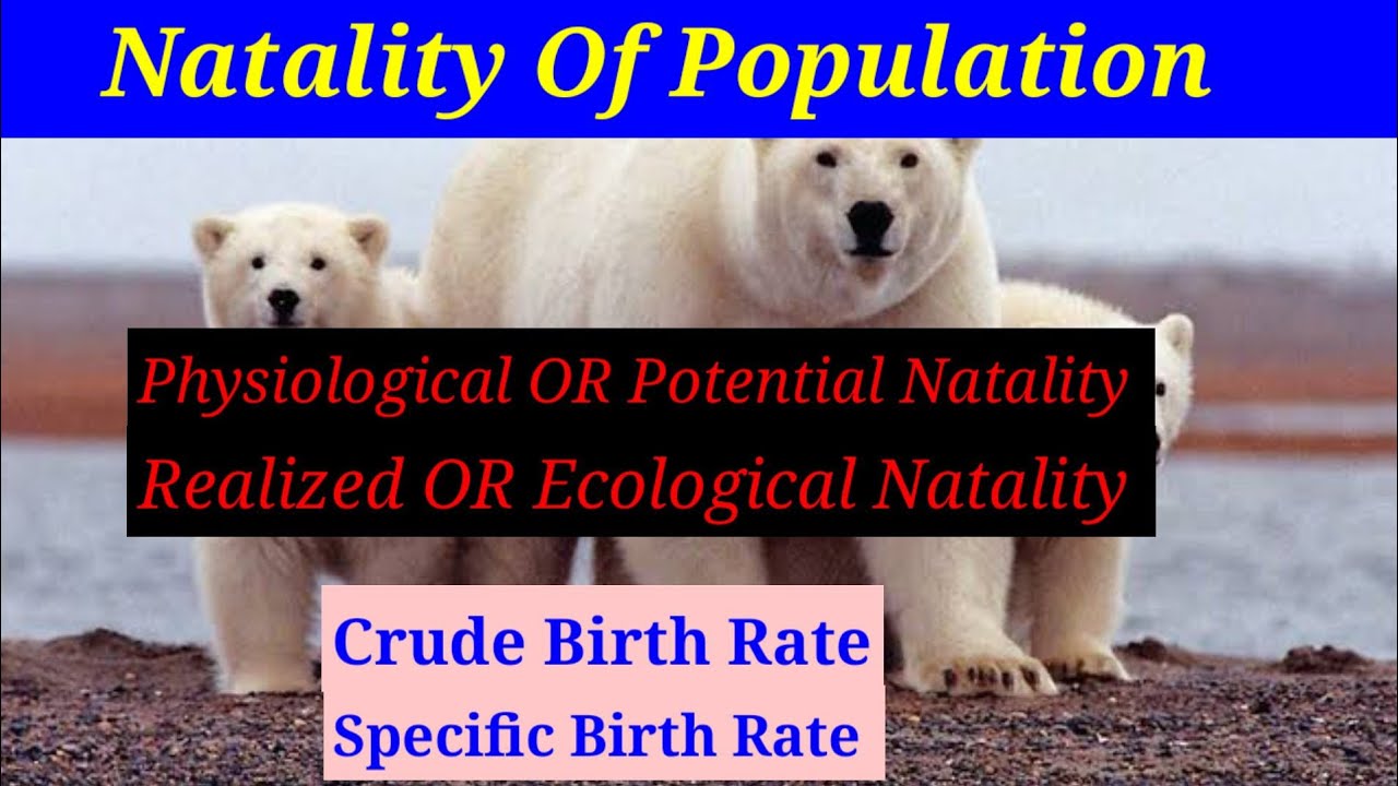 Natality OR Birth Rate Of Population (Lecture 3) In Easy Words In Hindi ...