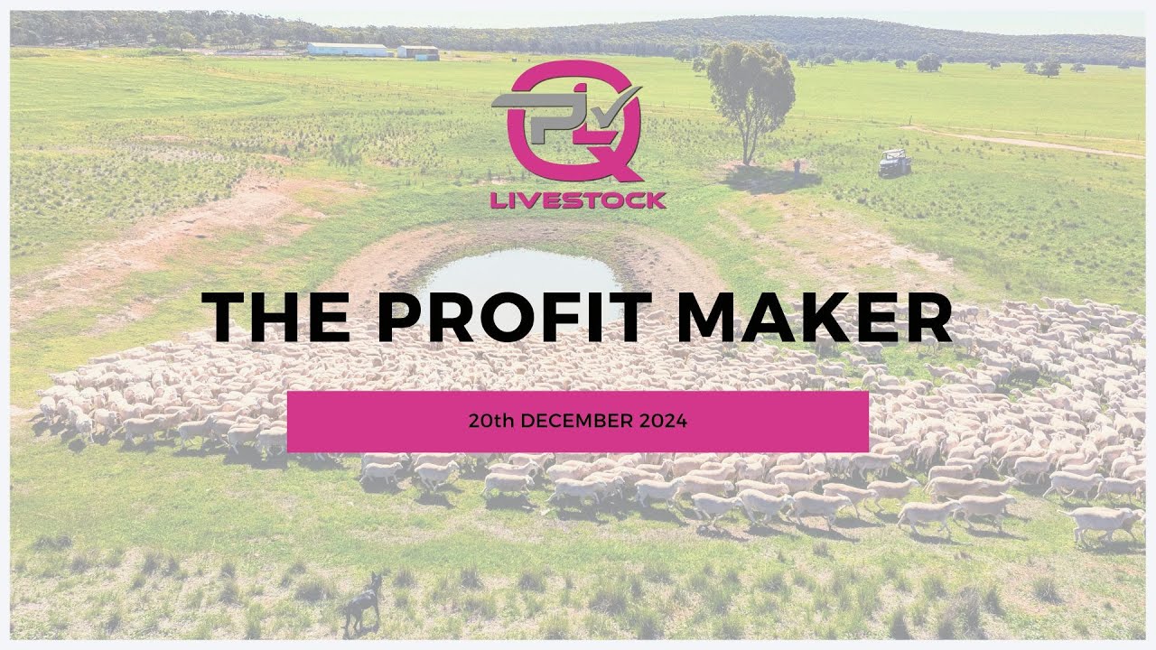 'The Profit Maker' 20th December 2024 - YouTube