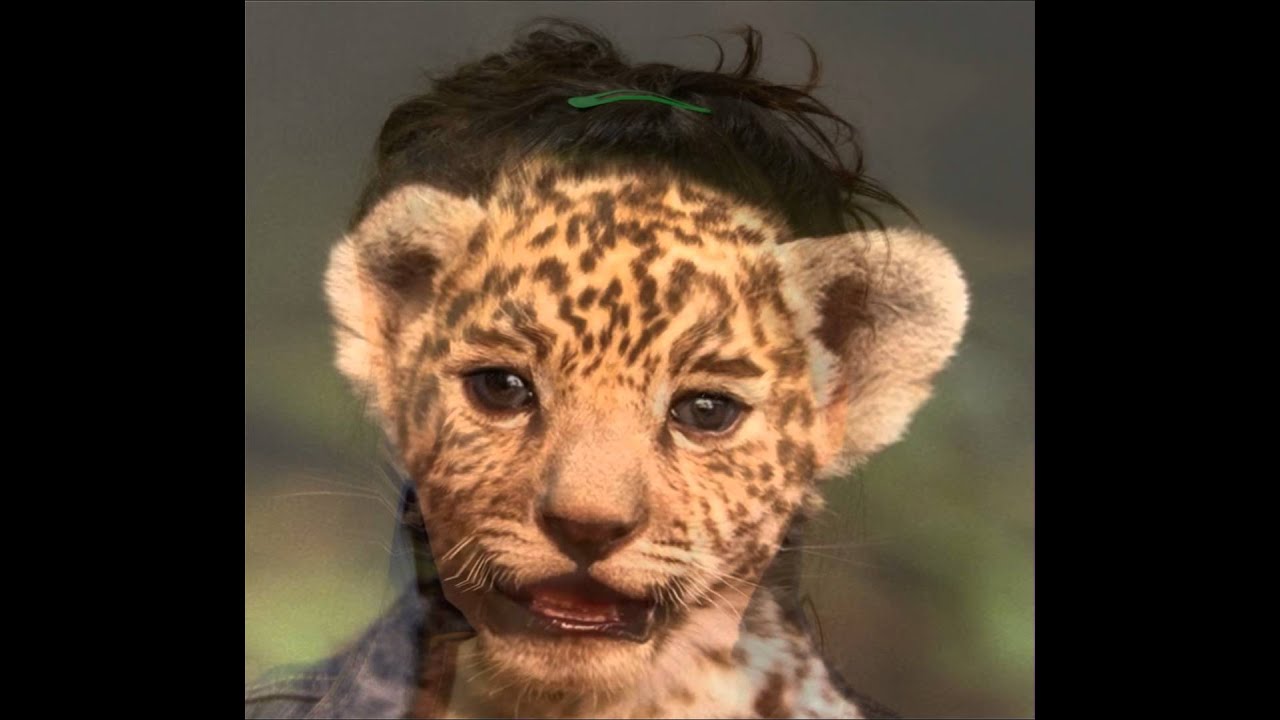 betty tigron - YouTube