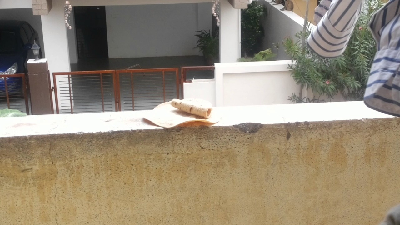 Bandar ki roti - YouTube