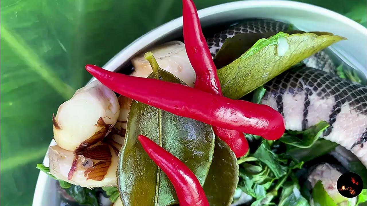 Cooking Snake Meat Recipe ស្ងោរជ្រក់ពស់ - YouTube