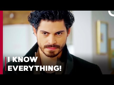 Mirza Stood Up For Leyla - Can't Stop Loving You