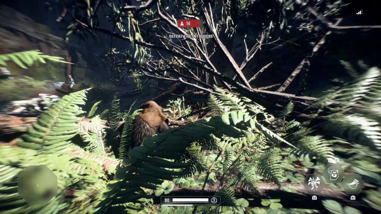 STAR WARS™ Battlefront™II Ewok Hunt - YouTube