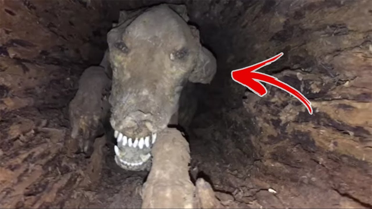 Top 5 Scariest Archaeological Discoveries | Marathon - YouTube