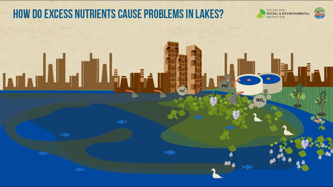 How Do Excess Nutrients Cause Problems In Lakes? - YouTube