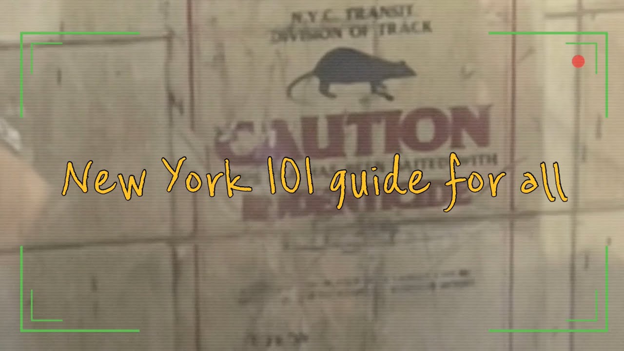 New York 101 Guide for All | 뉴욕 완벽 정복 여행 브이로그 - YouTube