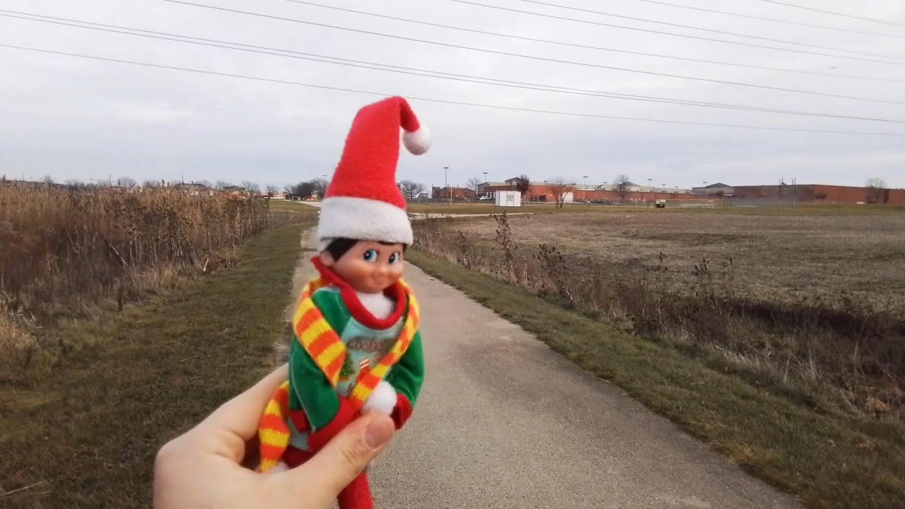 Chippy Is Taking A Last Winter Walk Until It Is March And April Again ...