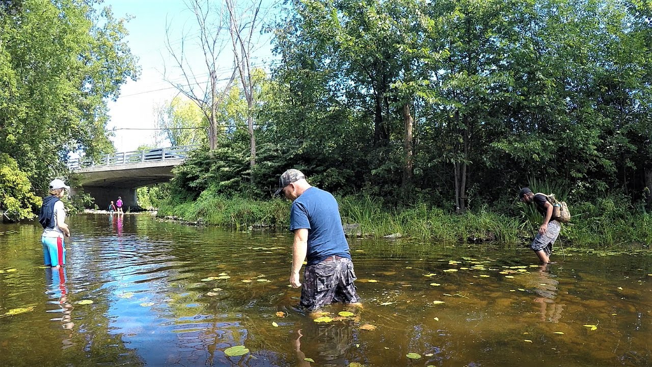 Creek Bottle Hunting! It's Loaded With Finds! - YouTube