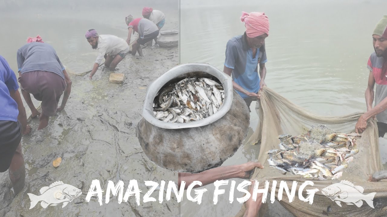 Fishermen Catching Fish from Pond with Nets ।। Complete Fishing Video ...