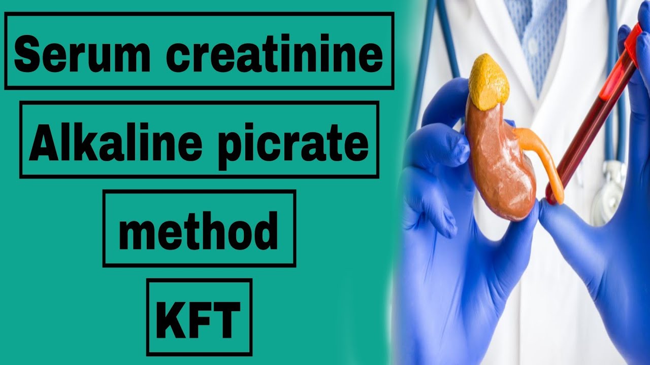 Serum creatinine | in hindi | Alkaline picrate method | All about serum ...