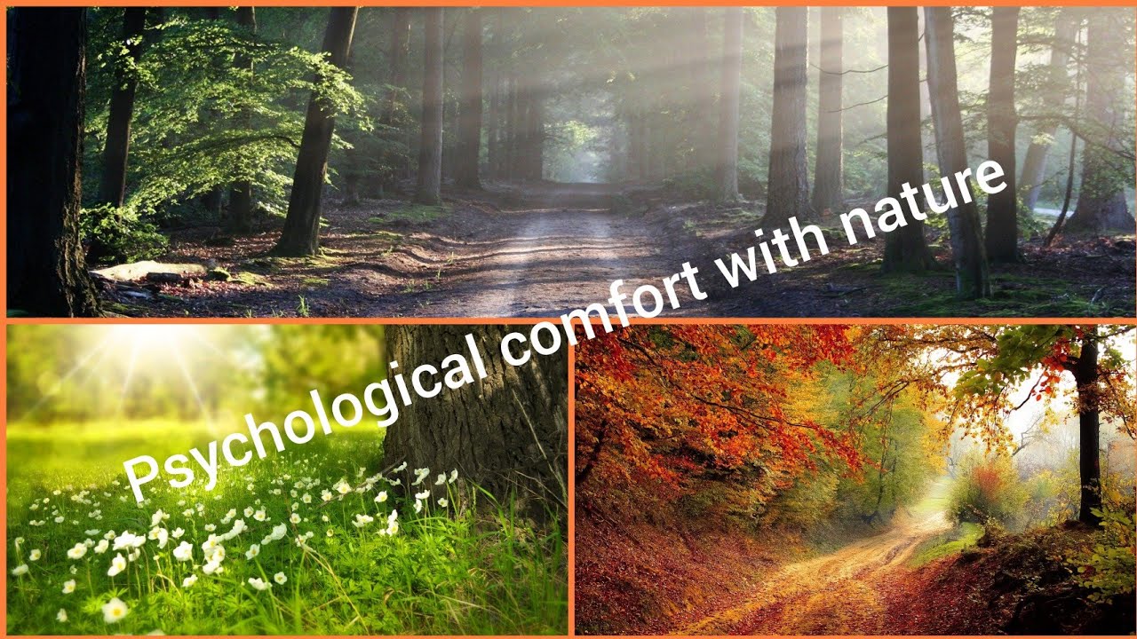 Psychological comfort with nature الطبيعة - YouTube