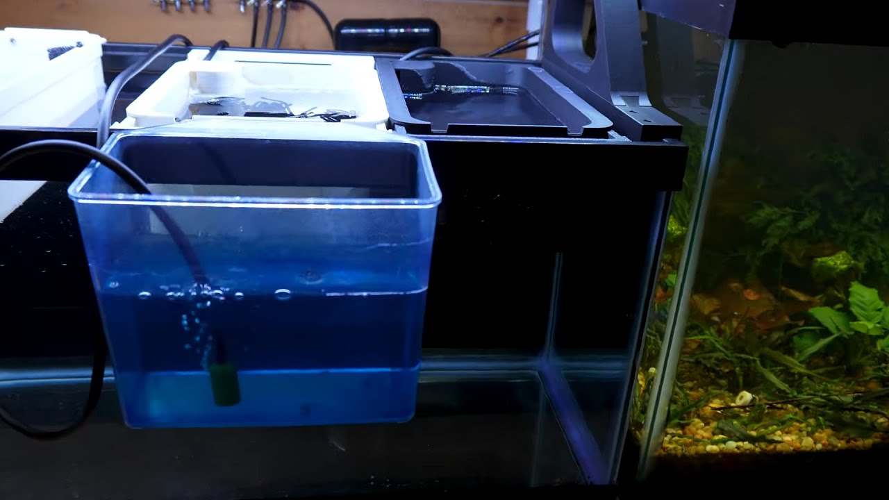 20 Long Easy Fry Nursery Setup Method - YouTube