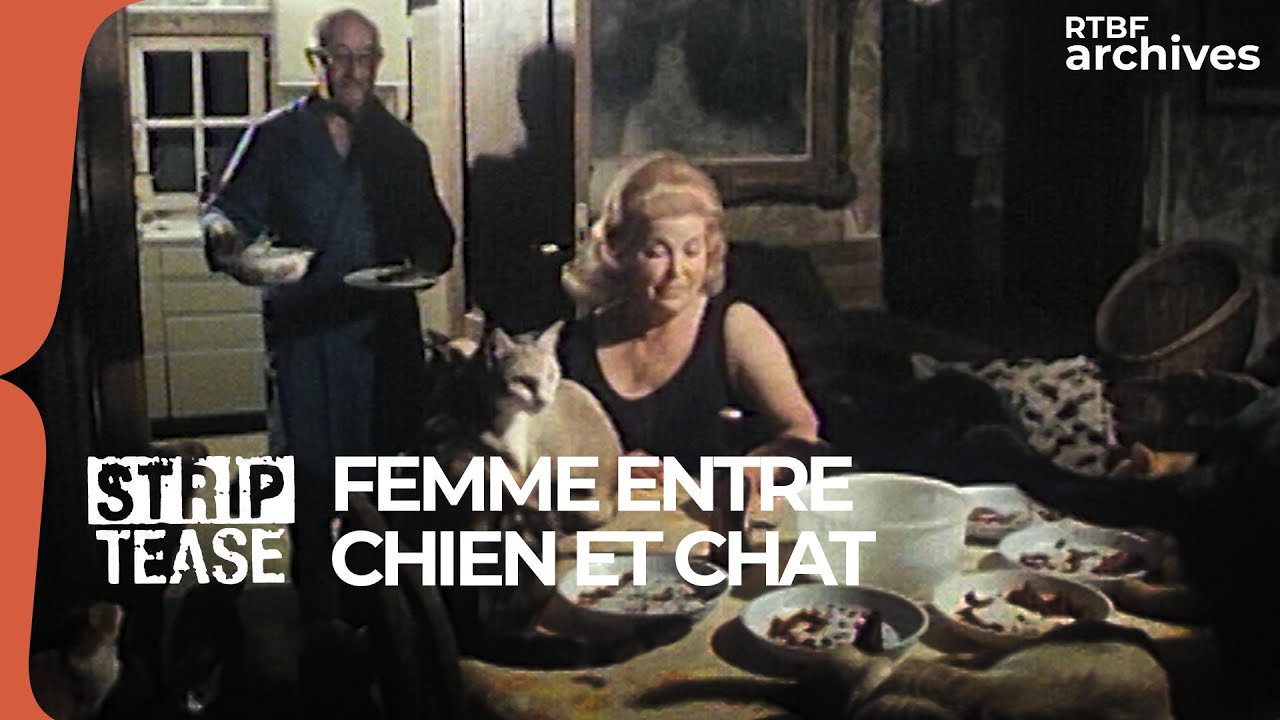 Strip-Tease : Femme entre chien et chat - RTBF Archives - YouTube
