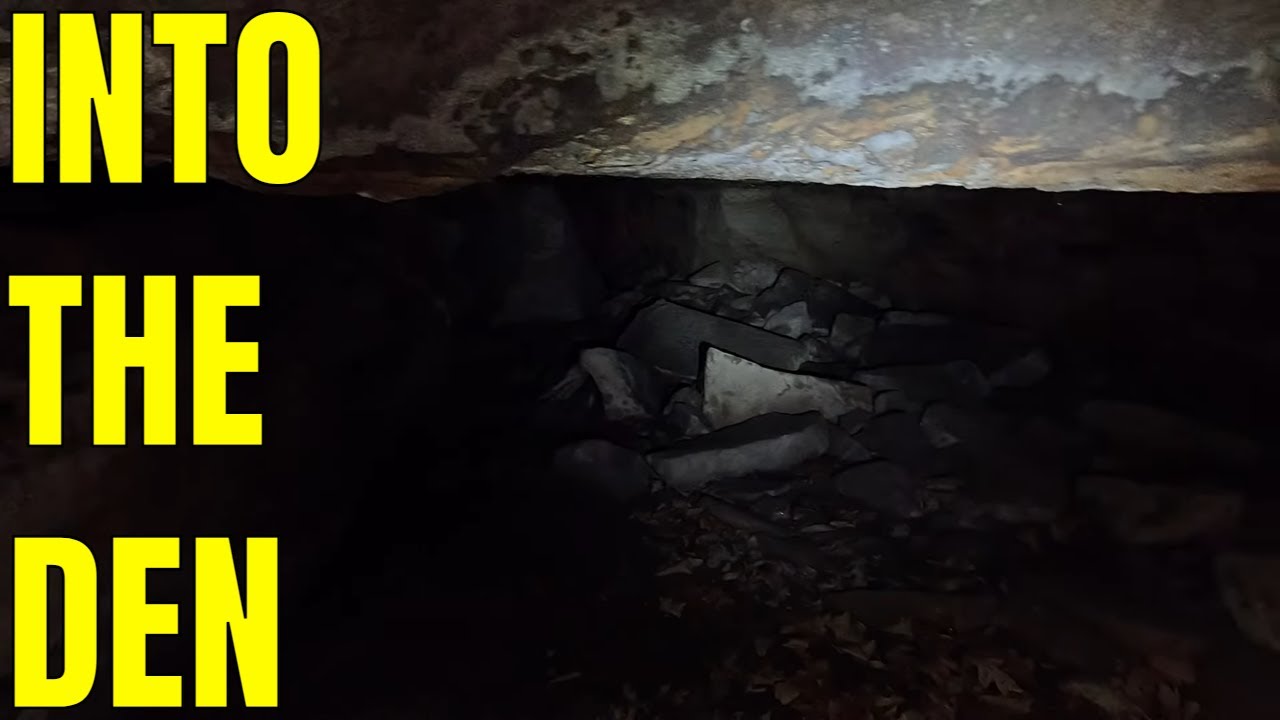 A Tour of Panther Den Wilderness - YouTube