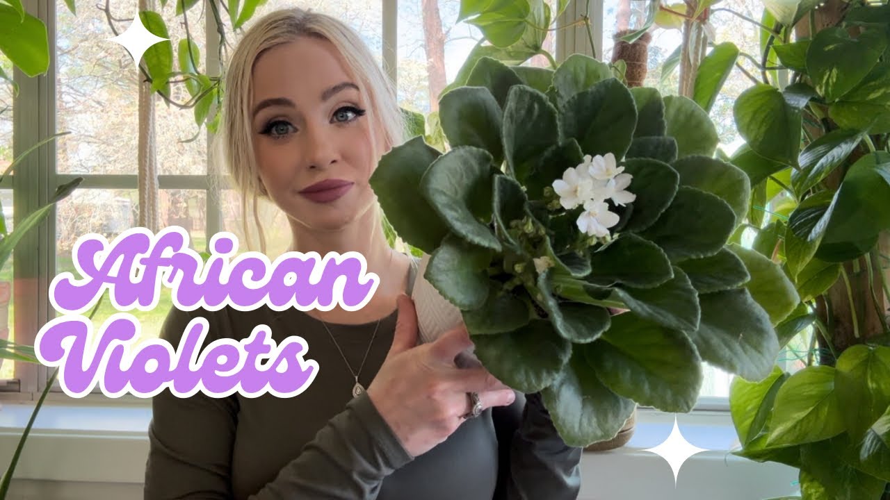 Easy & Simple African Violet Care | Wick Watering - YouTube