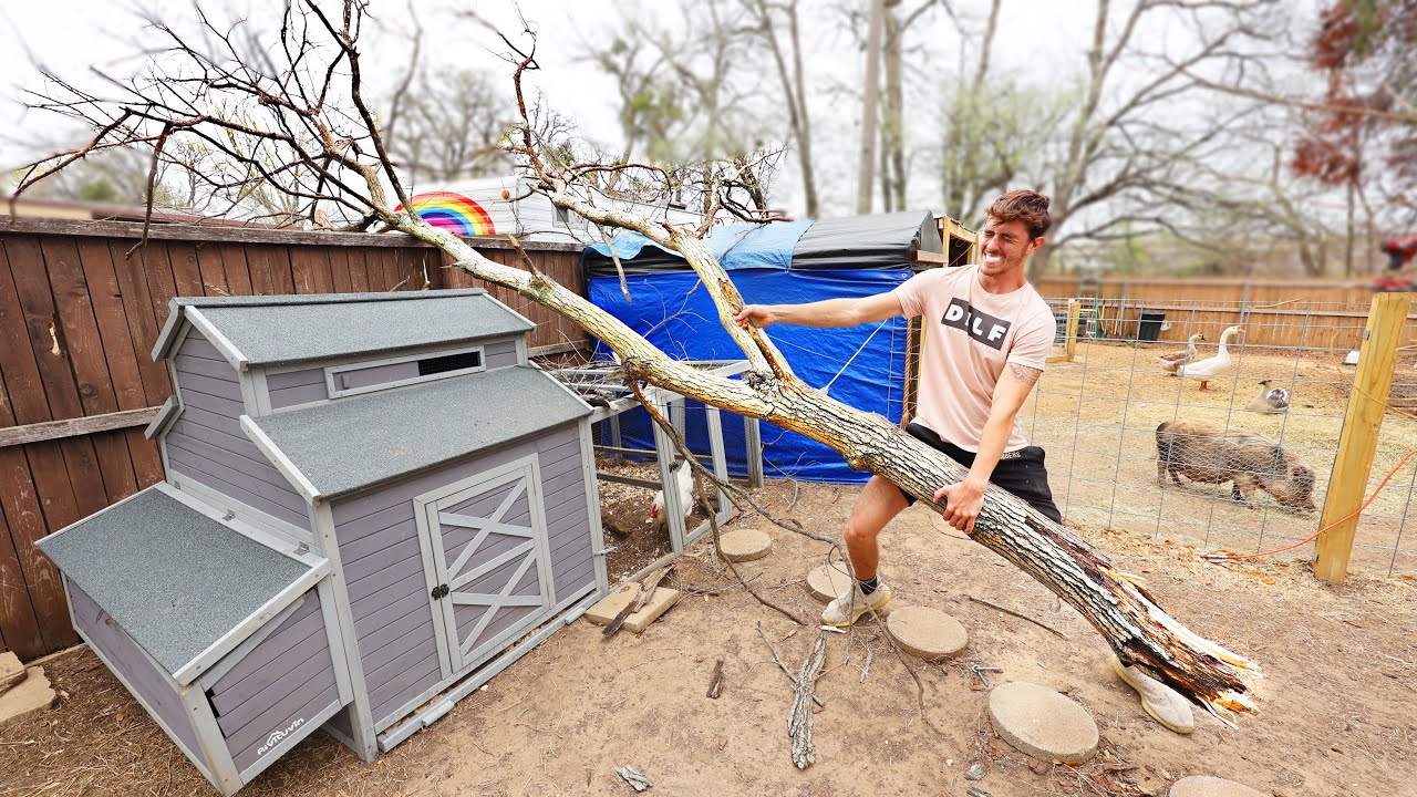 a DISASTER happened in the Backyard... - YouTube