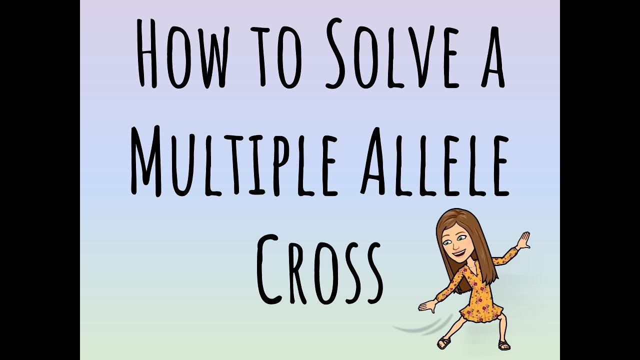 How to Solve a Multiple Allele Cross - YouTube