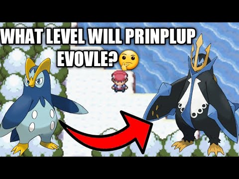 How to Evolve Prinplup to Empoleon on Pokemon diamond / pearl ...
