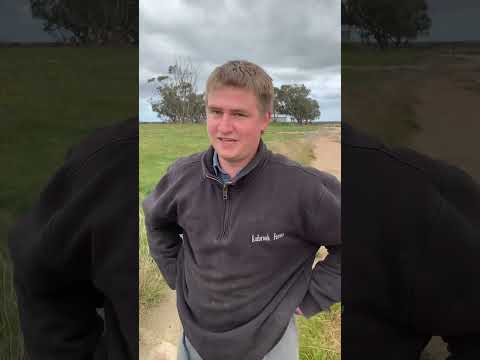 Rambo the Ram - The Ovine Gene Simmons - YouTube