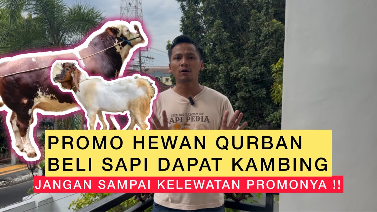 PROMO BOMBASTIS ‼️GROSIR HEWAN QURBAN 2025‼️BELI DISINI TANPA CALO ...