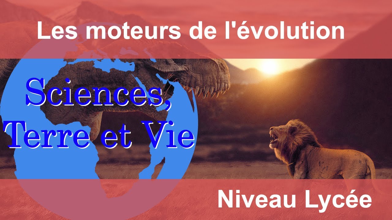 Les moteurs de l'évolution : la sélection naturelle et la dérive ...