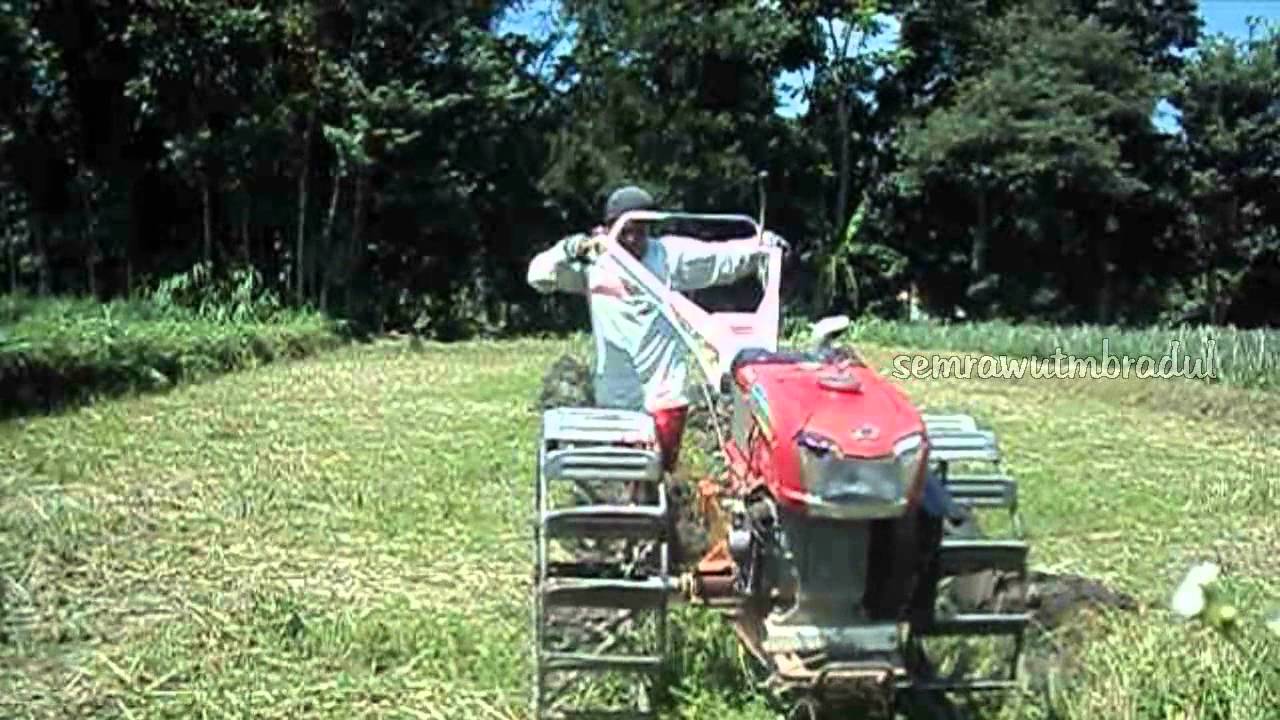 2 wheel hand tractor Quick RD85Di 2s plowing the wet field - YouTube